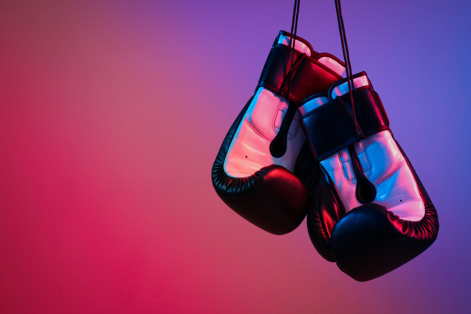 Salesforce Hubspot And Digital Marketing Solutions Cognition24 Cognition24